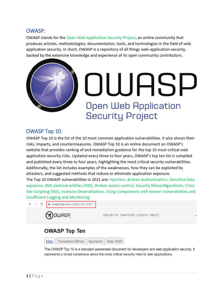 Owasp Top 10 Pdf Vulnerability Computing Security