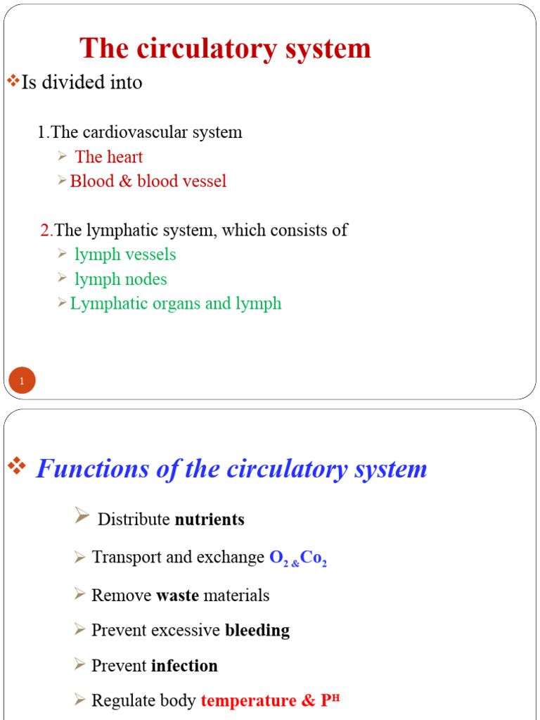 Circulatory System Download Free Pdf Heart Valve Ventricle Heart