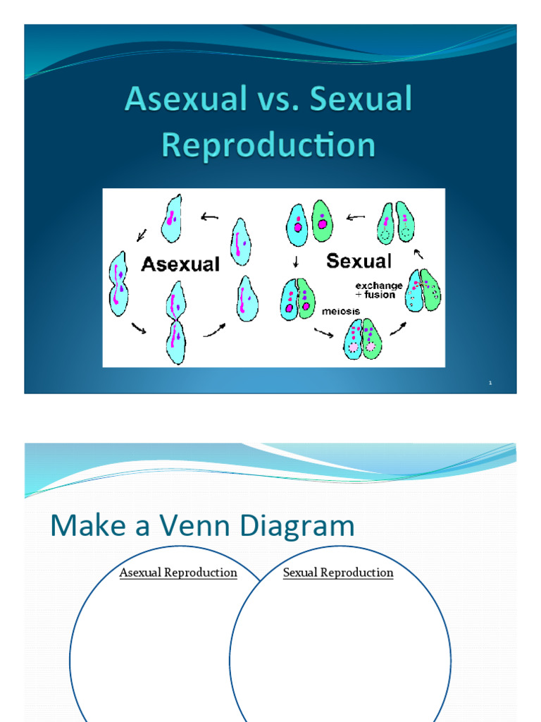 Asexual vs. Sexual Reproduction Guide | PDF | Sexual Reproduction | Reproduction