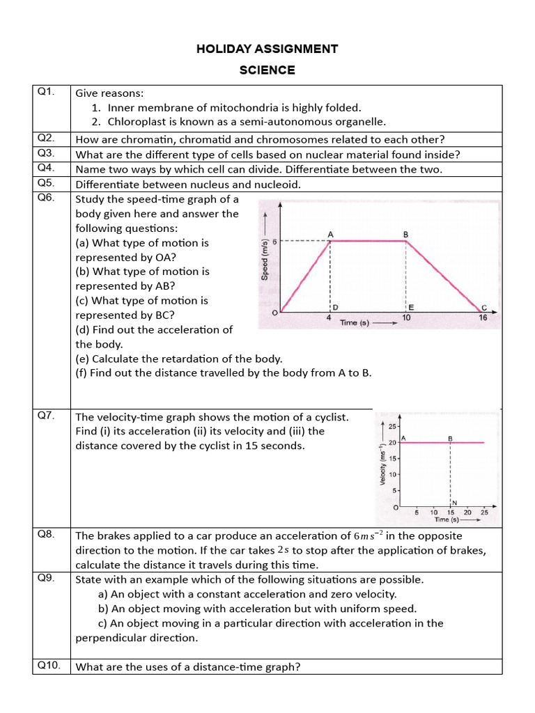 IX SC Summer Holiday Assignment 2024 | PDF | Gases | Acceleration