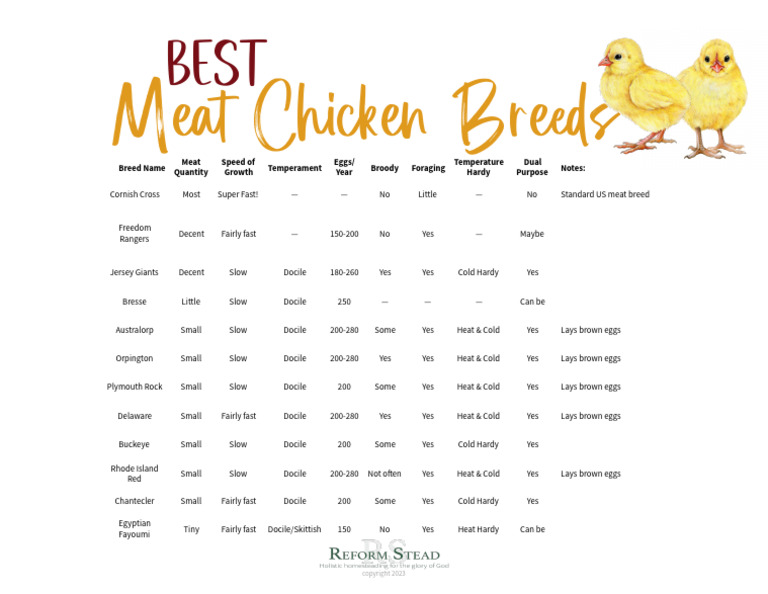 HE Meat Chicken Breeds Chart | PDF | Livestock | Junglefowls