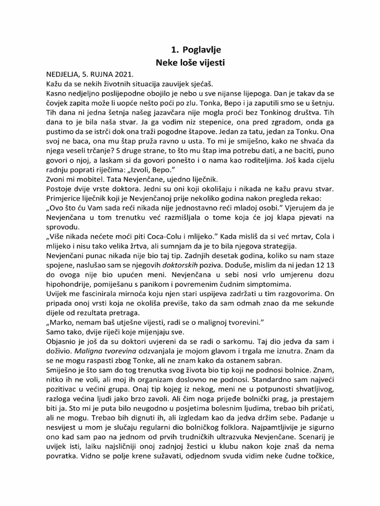 Putovanje Zvano Igra | PDF