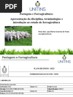 Morfologia de Gramíneas e Leguminosas | PDF | Raiz | Plantas
