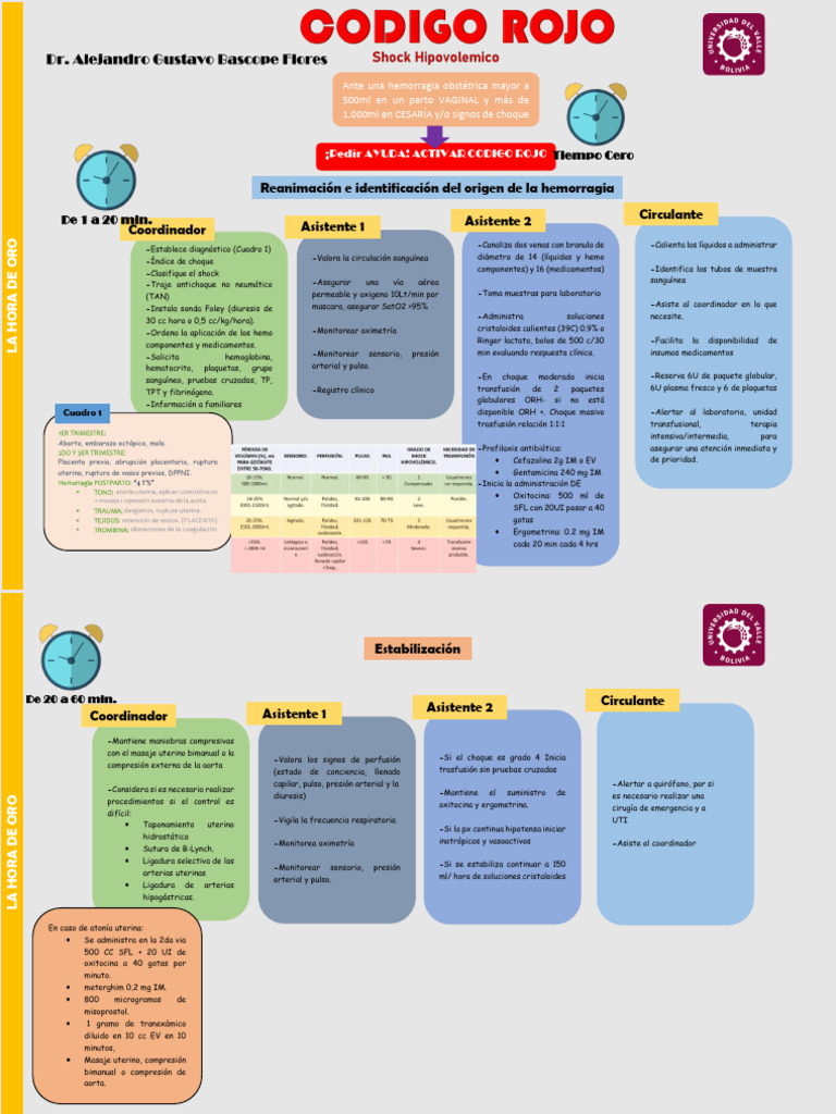 Protocolo de Código Rojo en Hemorragia Obstétrica | PDF | Sangre ...