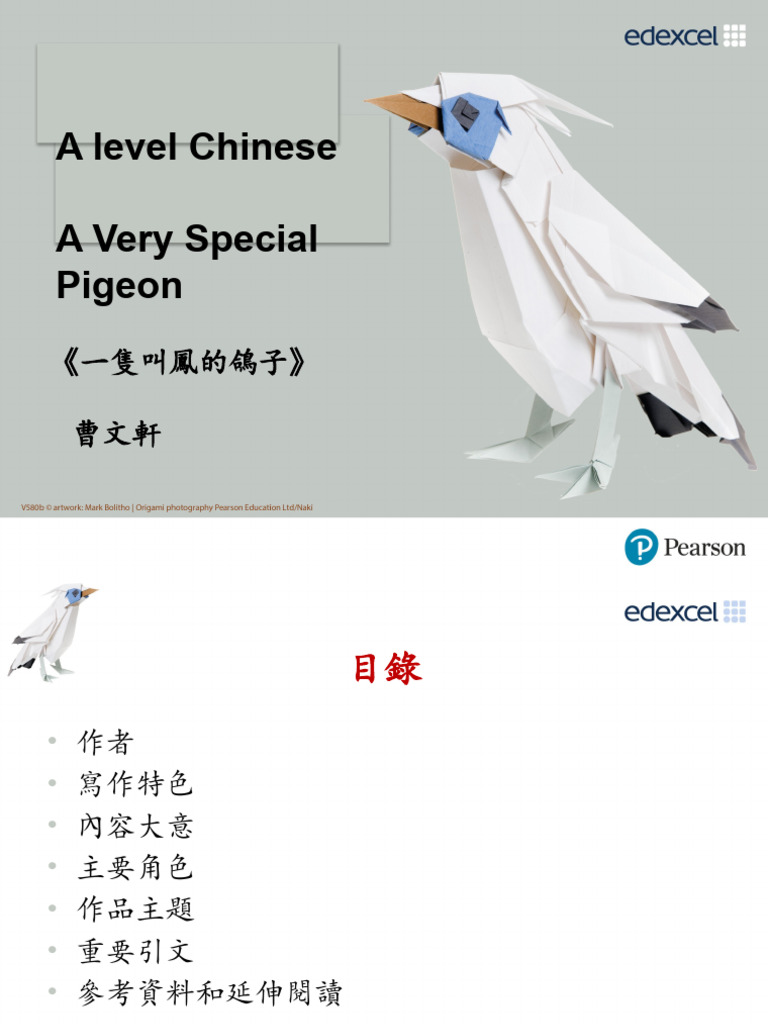 A Very Special Pigeon | PDF