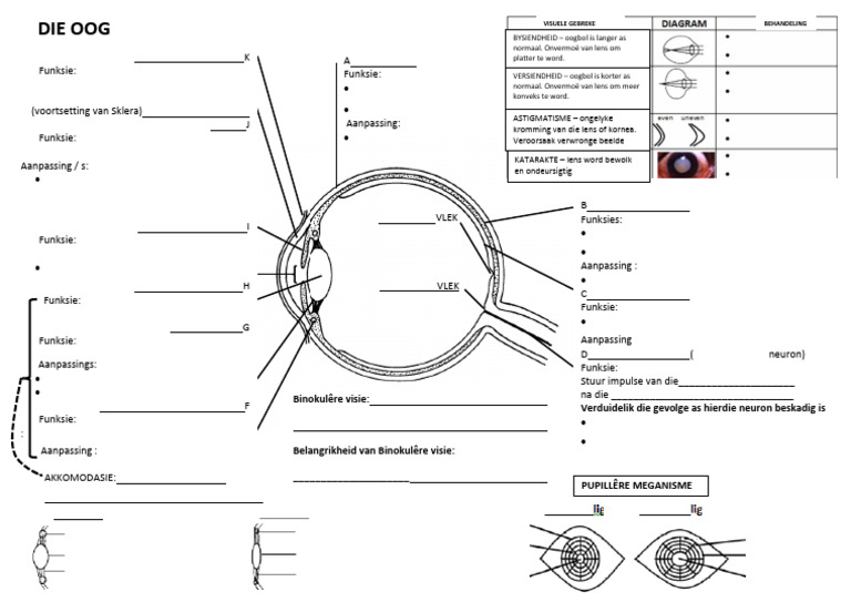 6.2 Een Blad Die Oog-1 | PDF