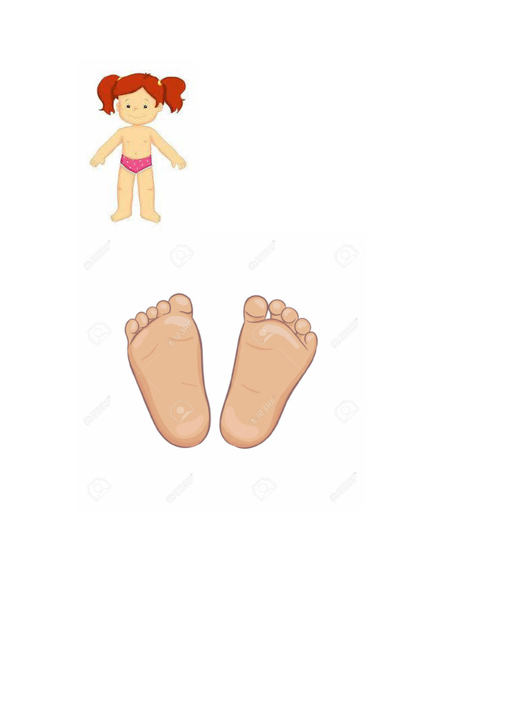 Partes Del Cuerpo Pdf