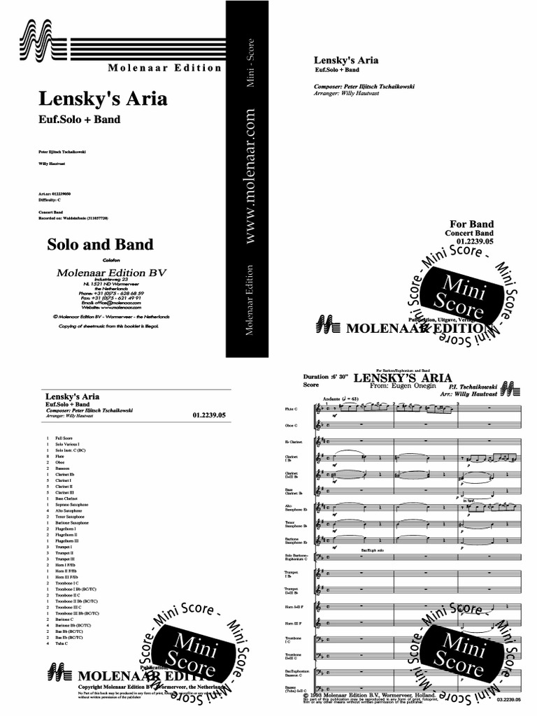Mini Score | PDF