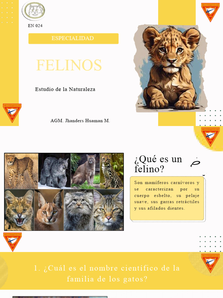 Tipos y características de felinos | PDF | León | Puma