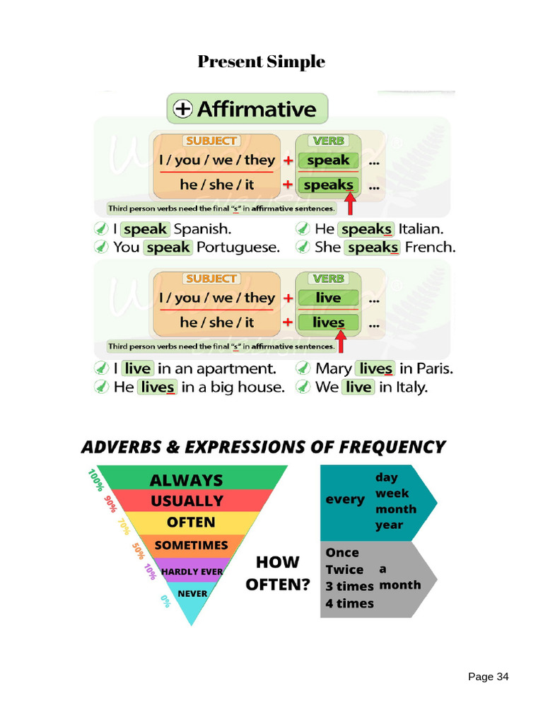 Present Simple Exercises and Options | PDF