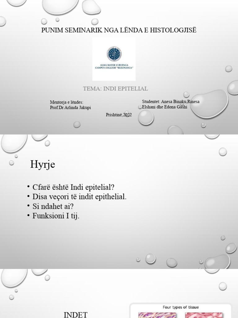 Punim Seminarik Nga Lënda e Histologjisë | PDF