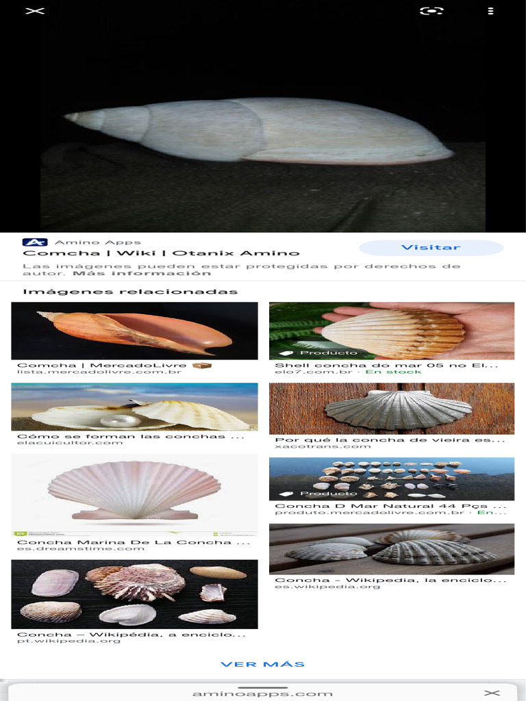 Comcha - Búsqueda de Google | PDF