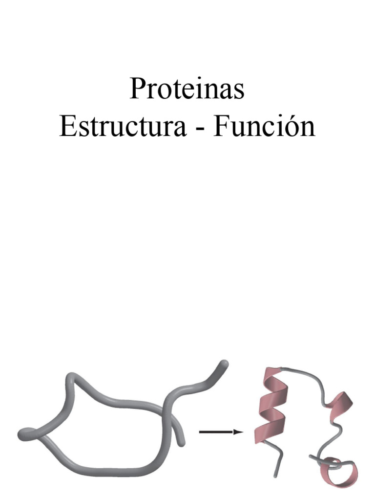 Clase 6 Prot Struct | PDF Clase 6 Prot Struct | PDF