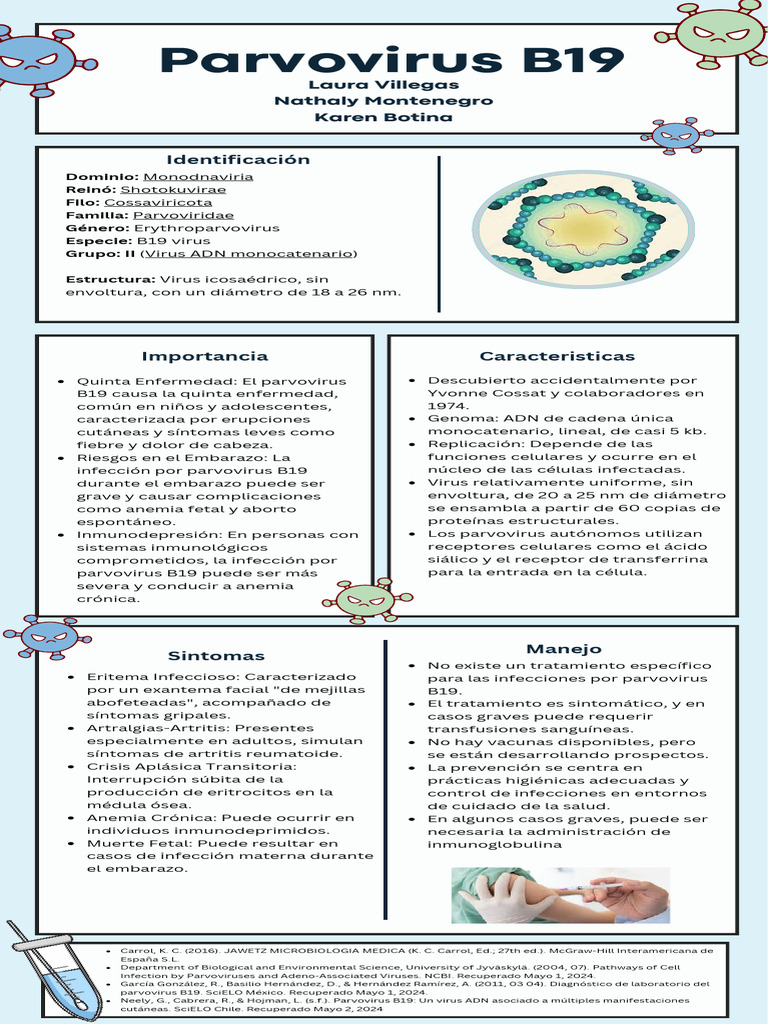 Parvovirus B19 | PDF | Virus | Especialidades Medicas