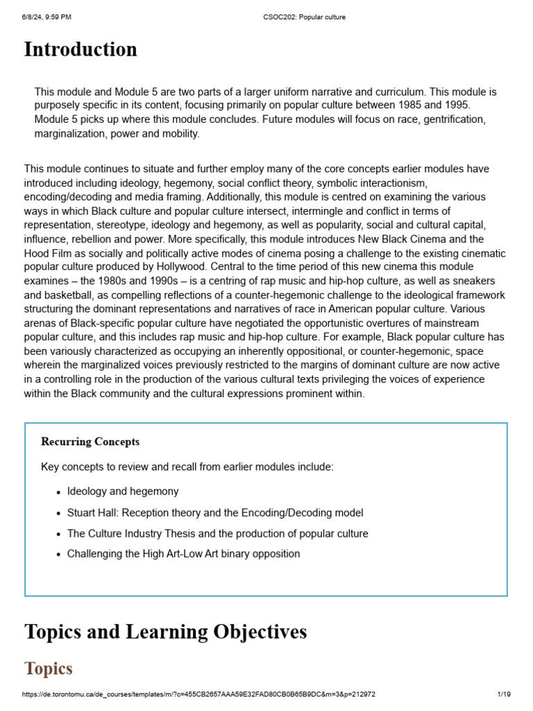 Module 3 | PDF | Race (Human Categorization) | Intersectionality