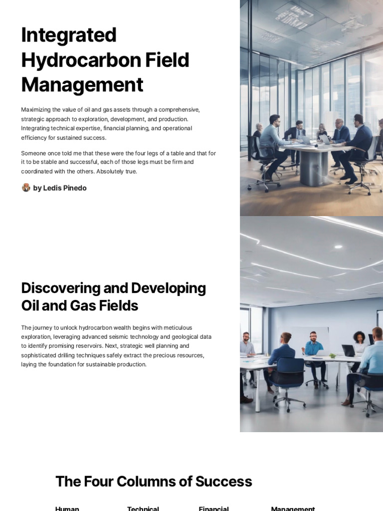 Maximizing The Value of Oil and Gas Assets | PDF | Oil Well | Risk