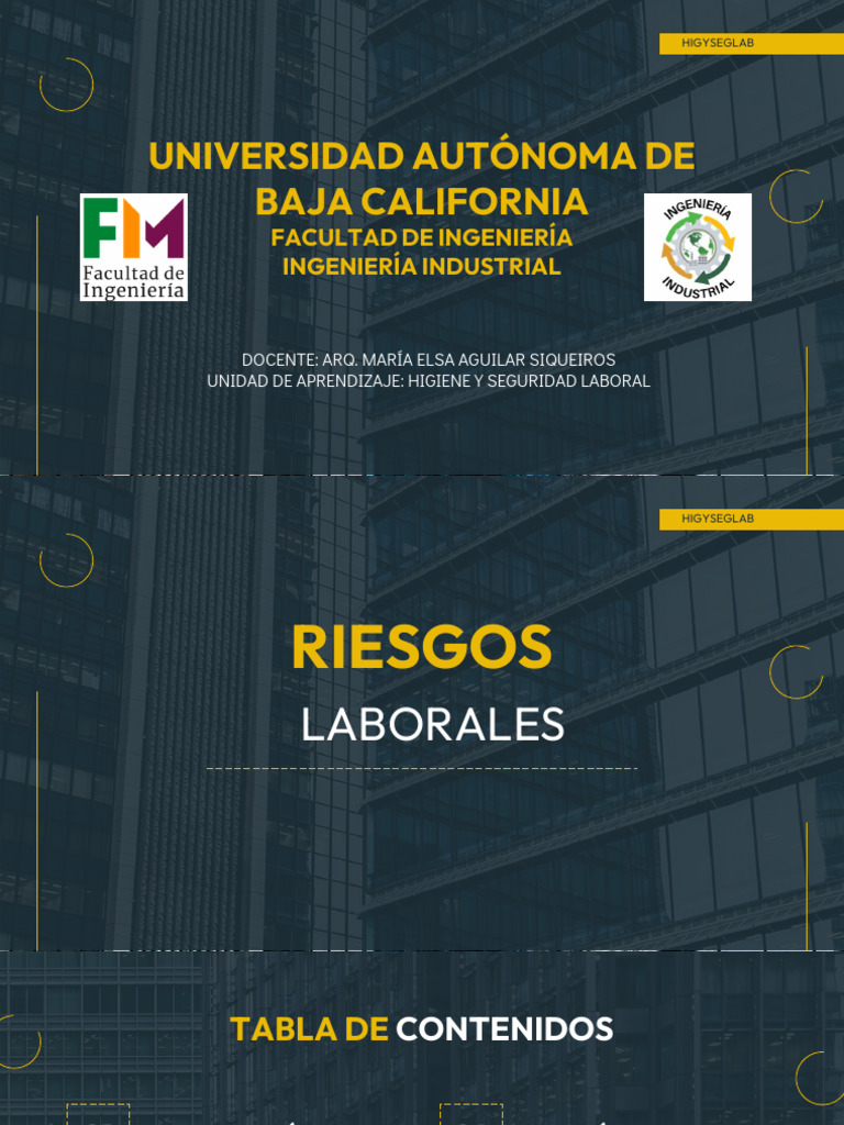 Factores de Riesgo en El Ambiente de Trabajo | Descargar gratis PDF | Seguridad y salud ...