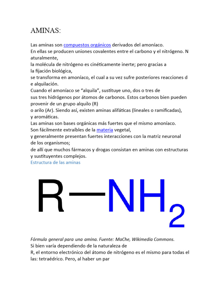 Compuetos Nitrogenados | PDF | Amina | Amida
