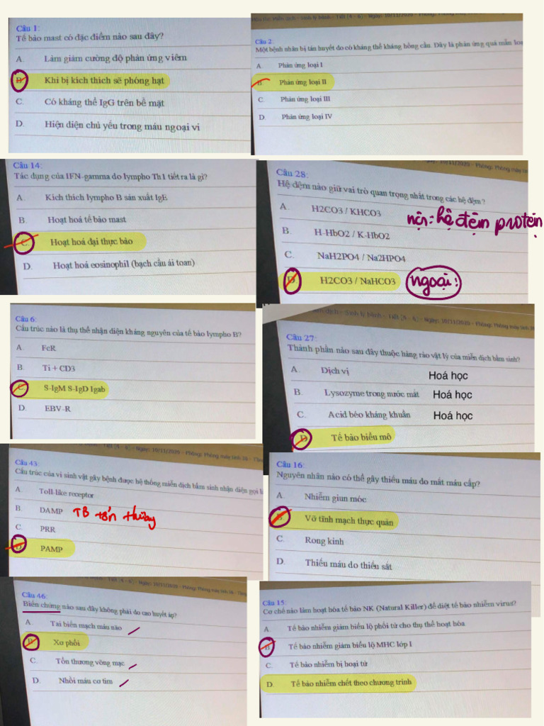 Đề Lượm 4 Đề-Slbmd | PDF