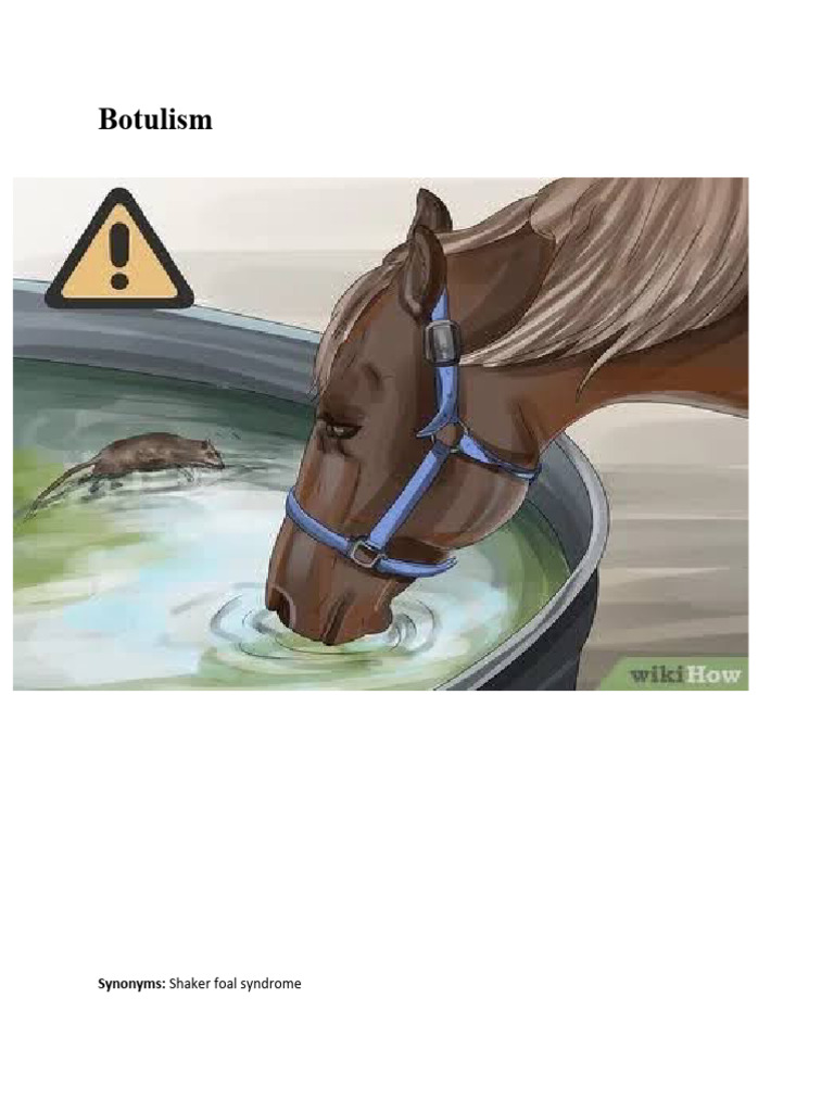 Botulism | PDF | Causes Of Death | Clinical Medicine