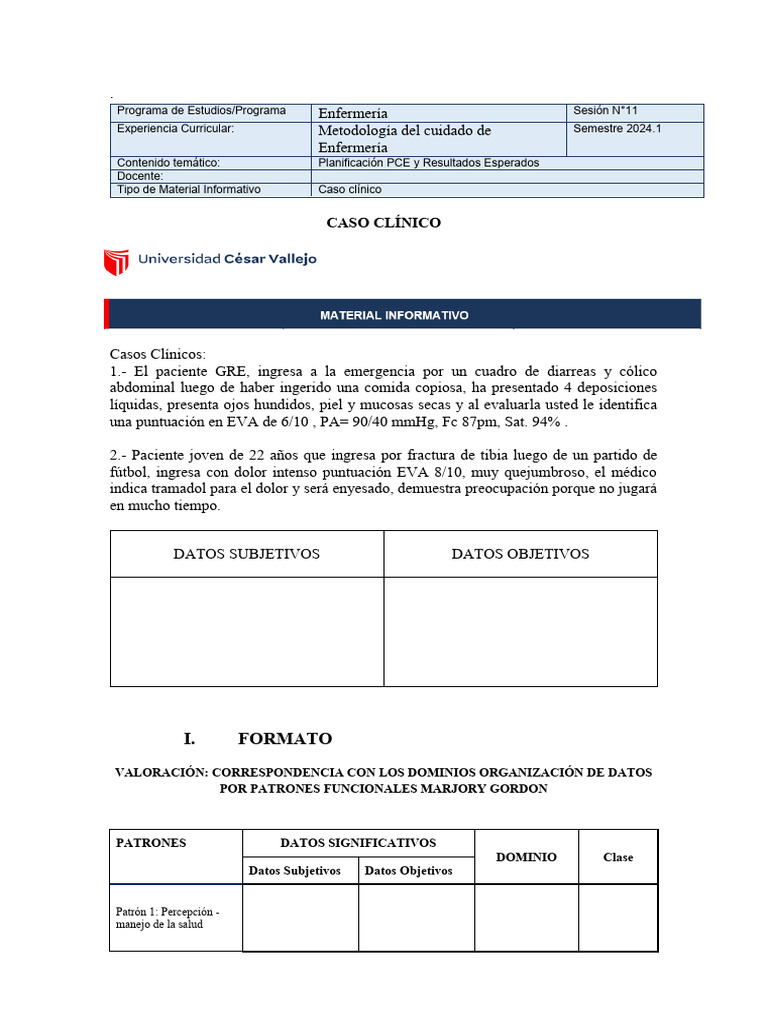 Formato Dx y NOC | PDF | Enfermería | Ciencias de la Salud