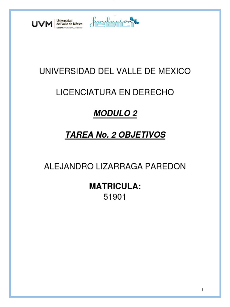 Tarea 2 Mapa Conceptual Objetivos | PDF