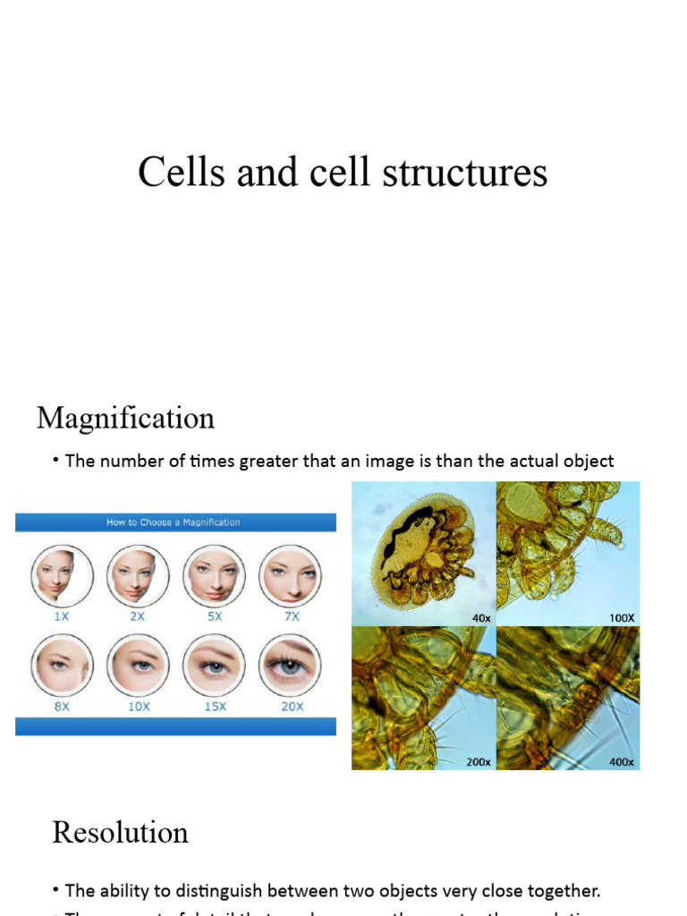 AS Level Cells and Cell Structures | PDF | Cell (Biology) | Chloroplast