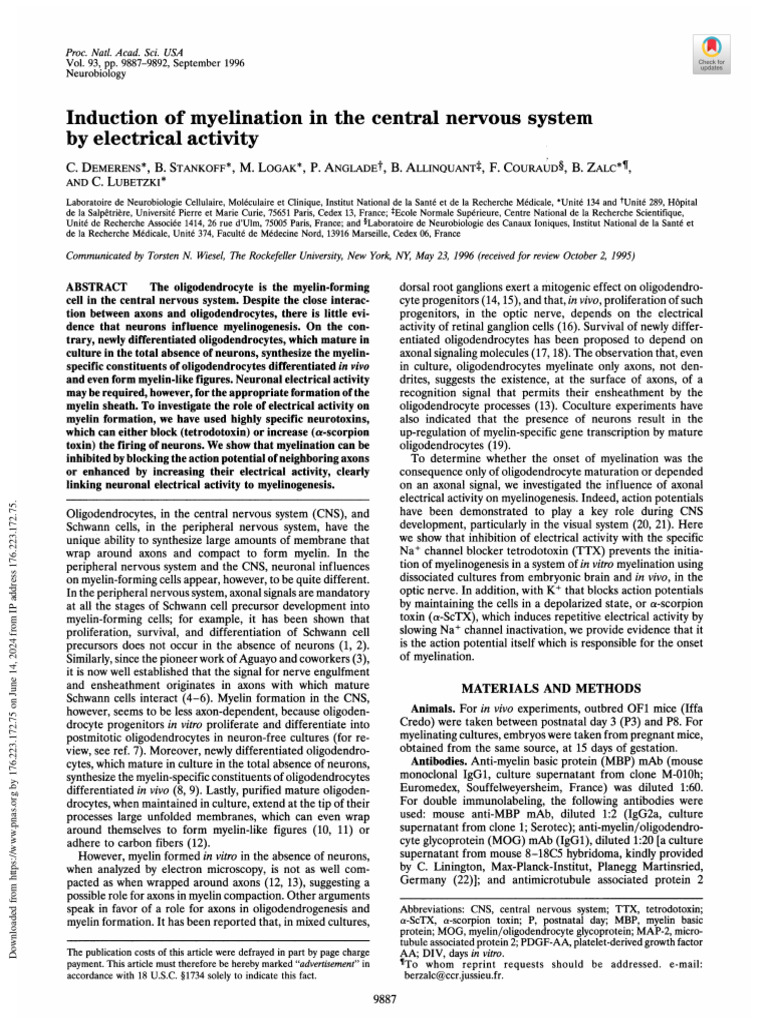 Demerens Et Al 1996 Induction of Myelination in The Central Nervous System by Electrical ...