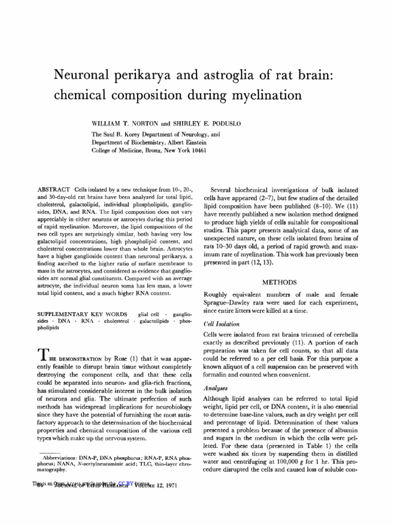 Neuronal Perikarya and Astroglia of Rat Brain Chemical Composition ...