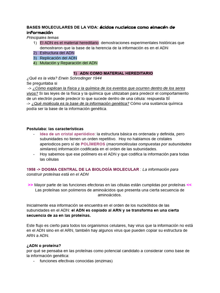 Bases moleculares de la vida | PDF | Adn | Replicación De Adn
