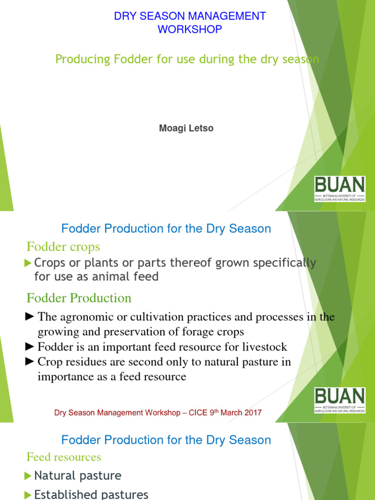54_Fodder-Production | PDF | Animal Feed | Fodder