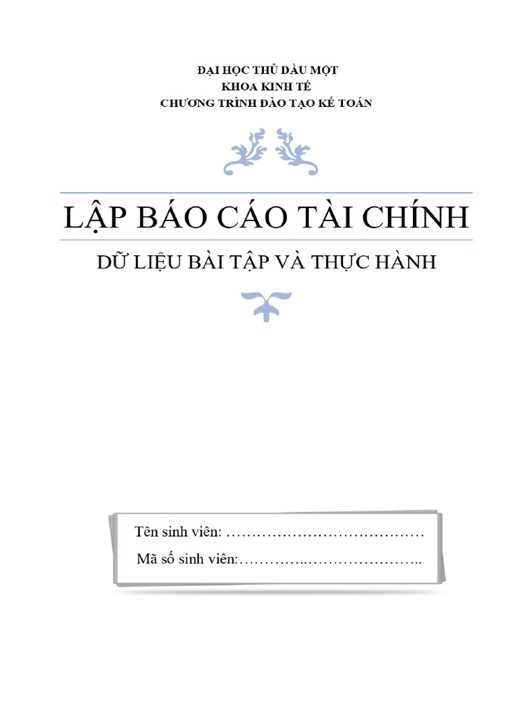Lap BCTC - GVGD Mai Hoang Hanh - D20TCNH - Bai Tap | PDF