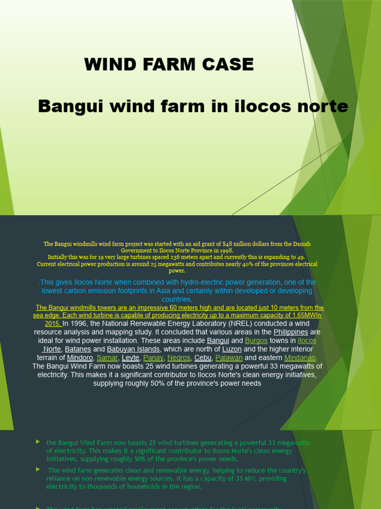 Assignment Wind Farm Case | PDF | Wind Power | Economies