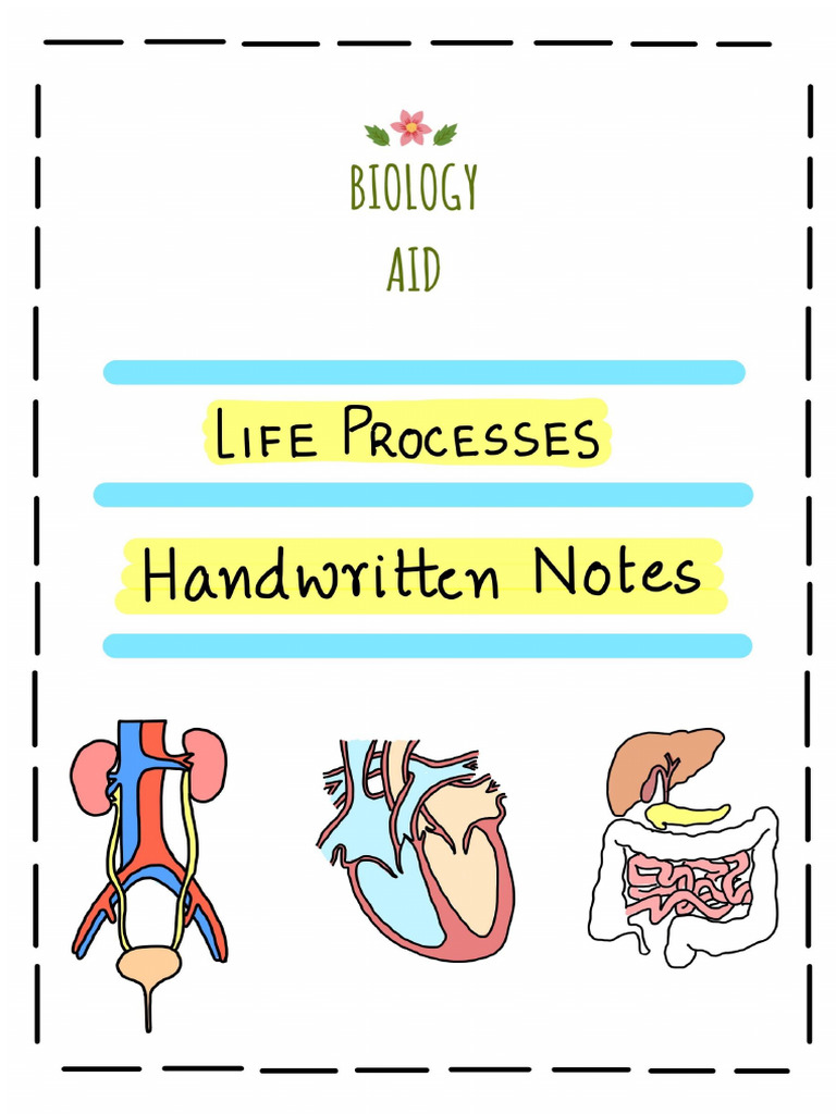 Biology Aid Life Processes Notes | PDF