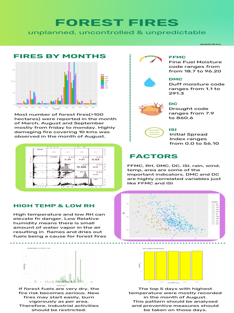 Forest Fire Infographic | PDF