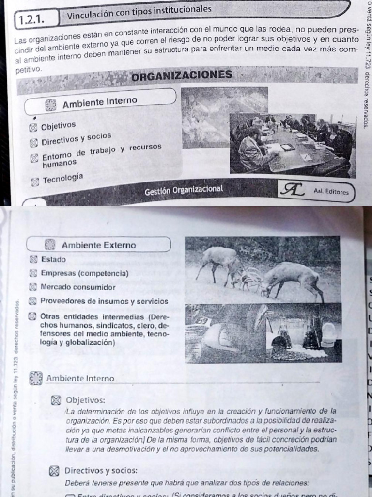 Vinculaci-N Con Tipos Institucionales-1 | PDF