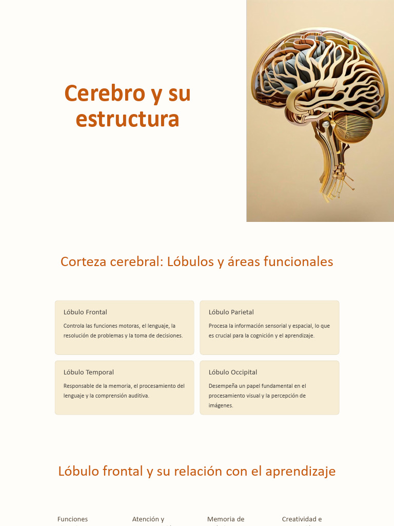 Cerebro y Su Estructura Resumido | PDF | Cerebro | Aprendizaje