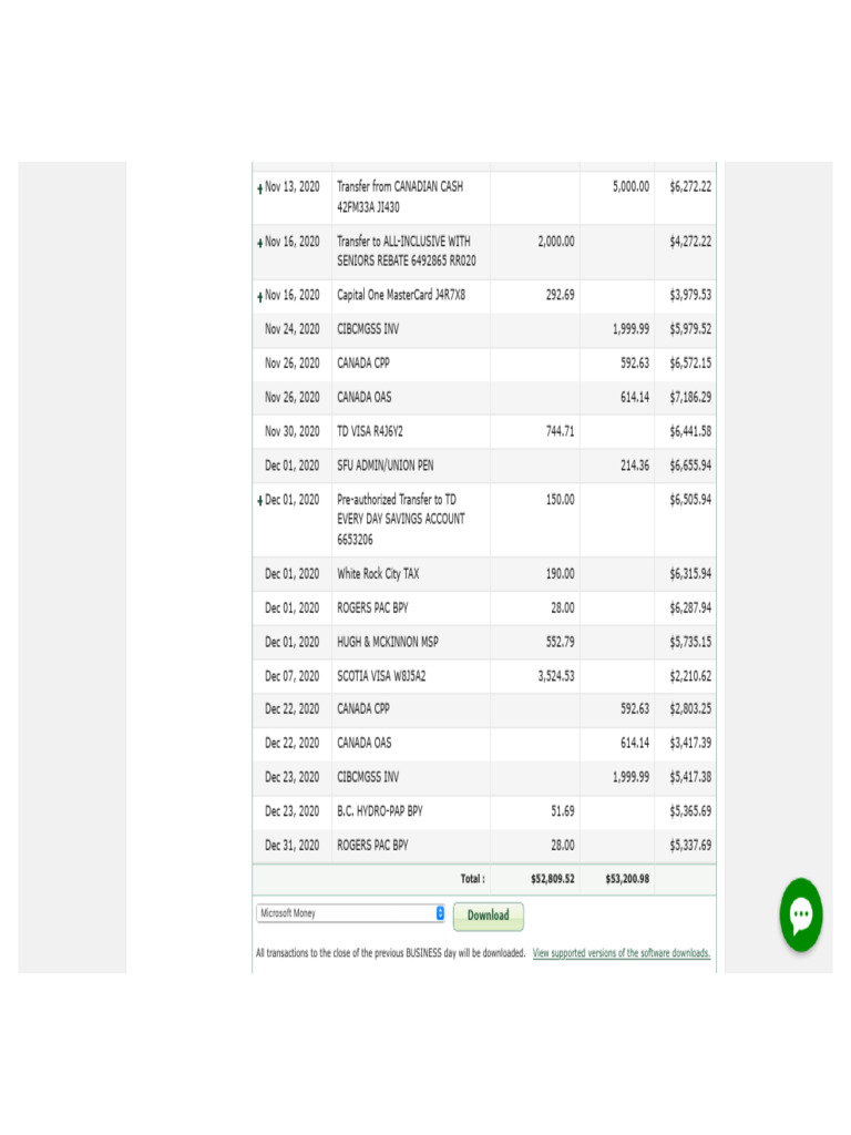 Jan 2020 - Jan 2021 Expenses | PDF | Payments | Financial Services