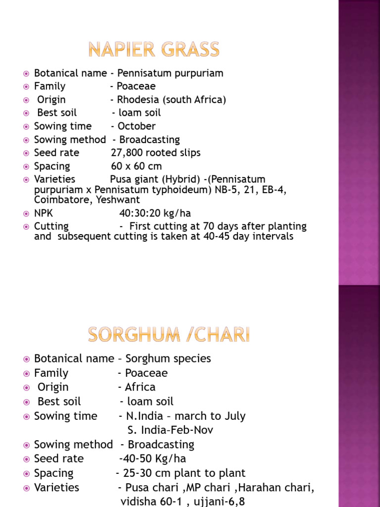 Fodder Crop Varieties Overview | PDF | Home & Garden