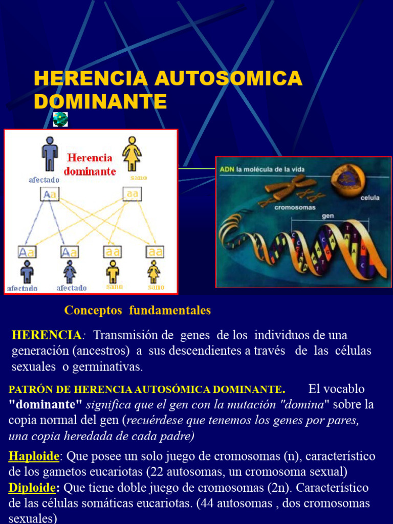 Herencia | PDF | Alelo | Dominancia (Genética)