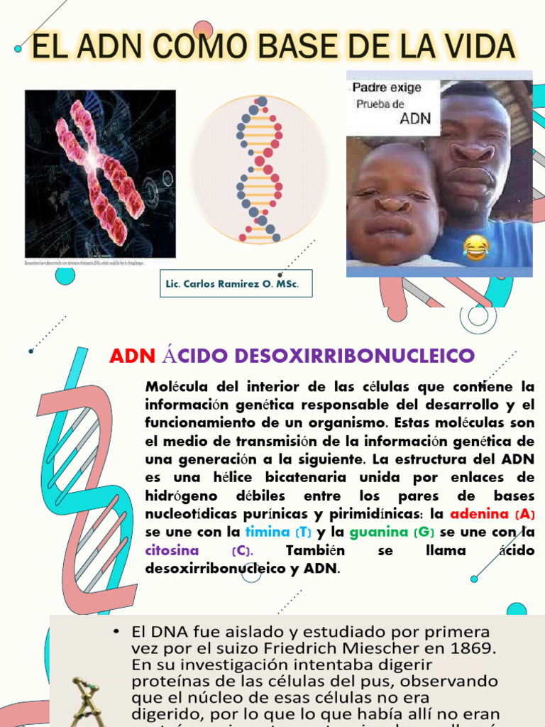 Adn Base de La Vida | PDF | Adn | La transcriptasa inversa