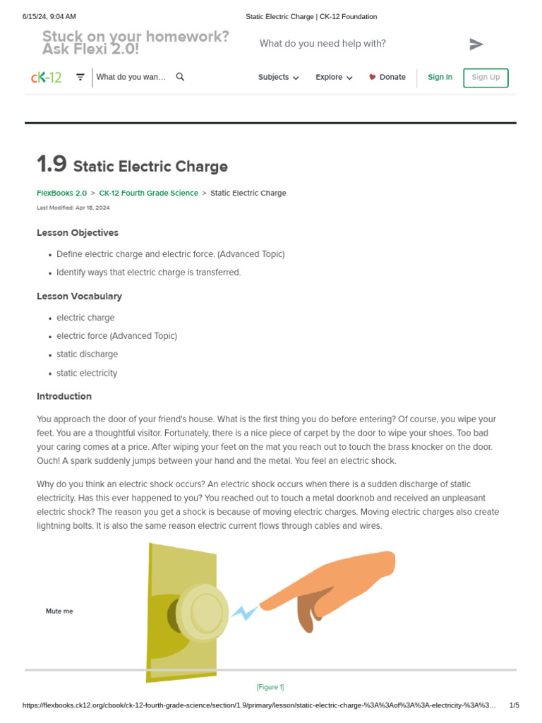 Static Electric Charge - CK-12 Foundation | PDF | Electric Charge ...