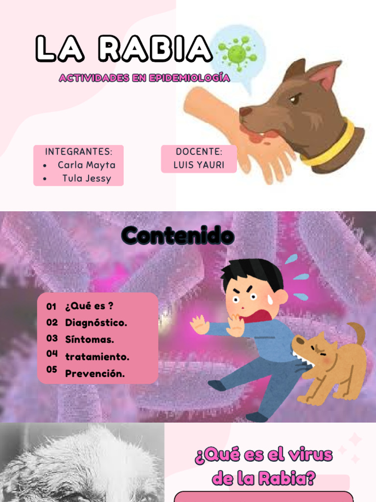 Presentación Salud y Bienestar Mental Ilustrativo Divertido Rosa Pastel | PDF | Rabia ...