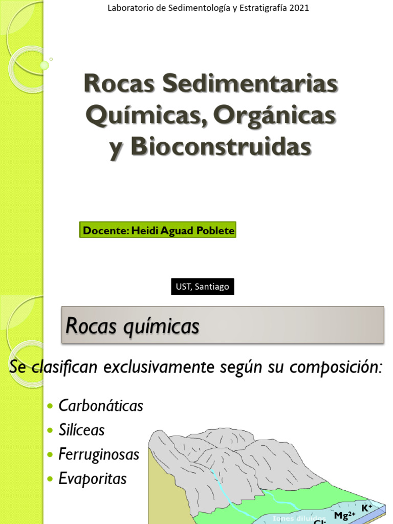 Lab 7 - Rocas Sed Químicas y Otras | Descargar gratis PDF | Petrología ...