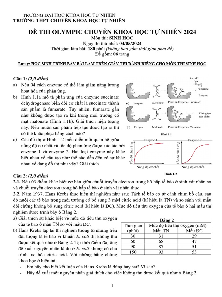 De Sinh Ngay 1 Pdf
