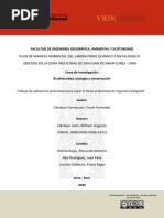 Fases de La NEM | PDF | Aprendizaje | Sociedad