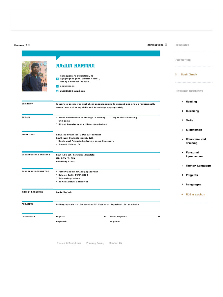 Resume Template for Drilling Operator | PDF