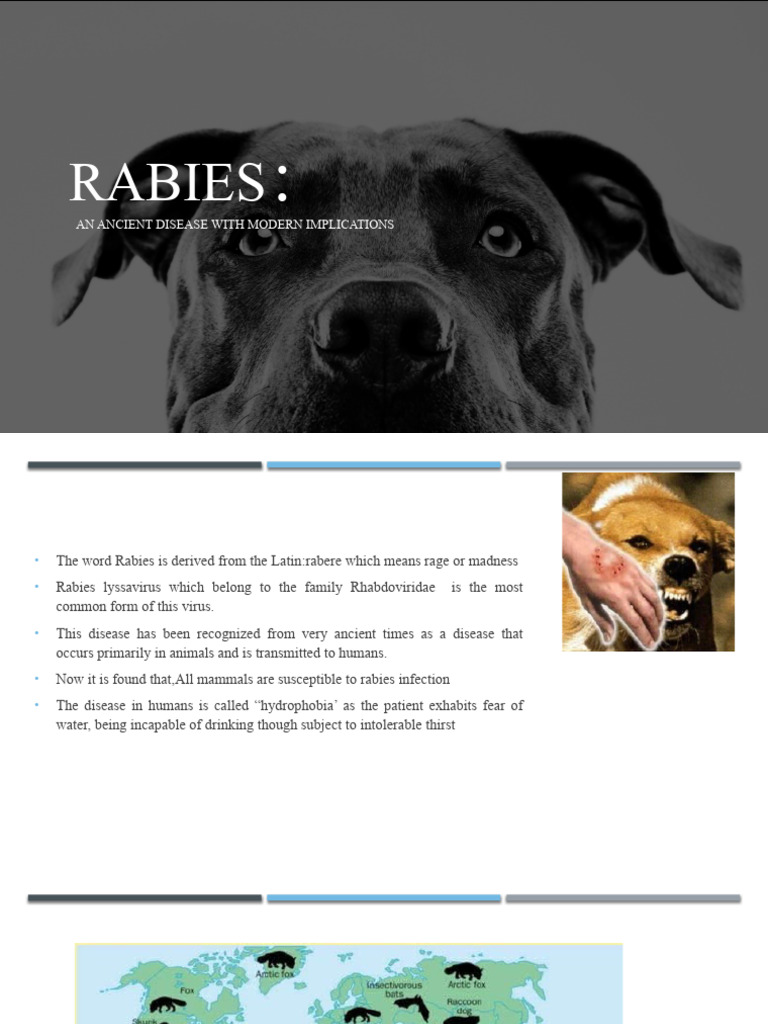 Rabies PPT For Seminar | PDF | Rabies | Virus