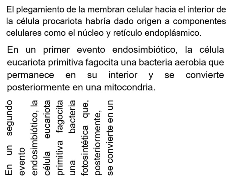 Informacion Adicional Modelo | PDF