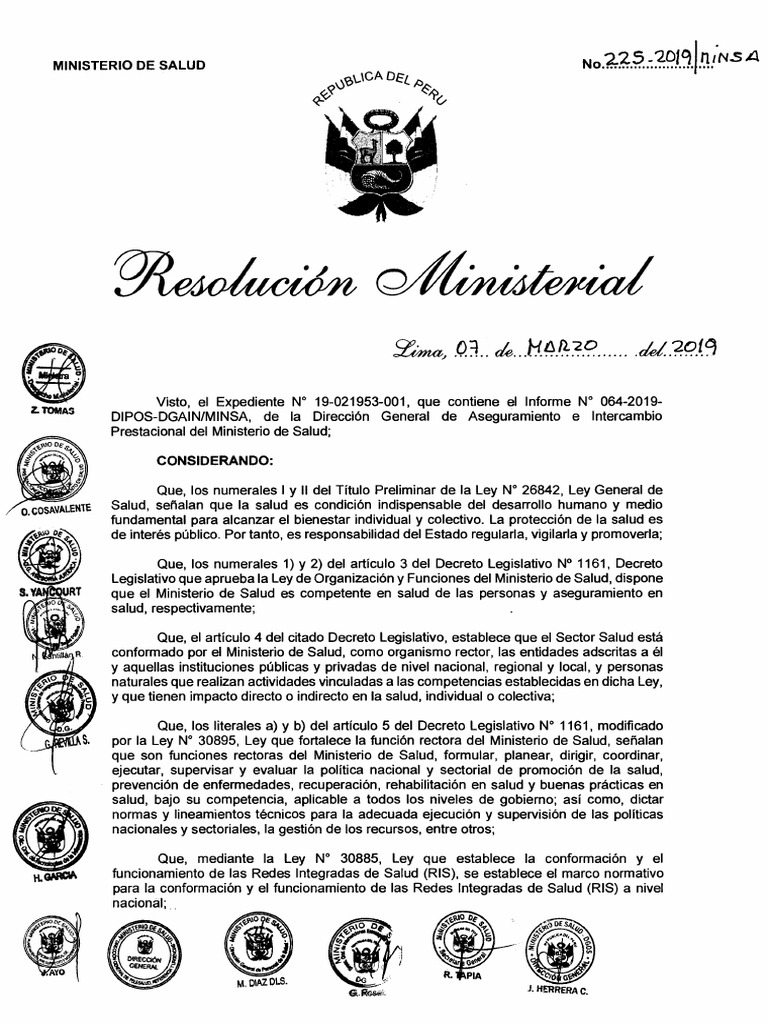 RM - 225 2019 Minsa Conformación Ris | PDF